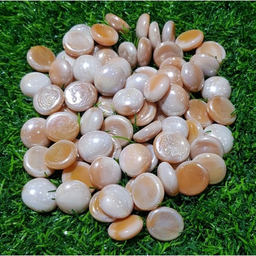 50 Pieces Gravel Pebbles For Aquarium Ornaments Fish Tank & Pots Decore (9)